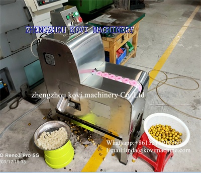 Automatic Longan Meat Peeler Machine Longan Peeler Skin Removing ...
